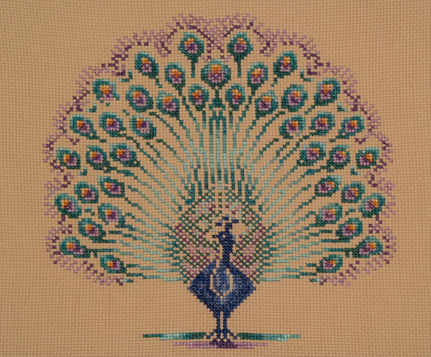 Original Beautiful Royal Peacock With Colorful Tail Fully Open Cross ...