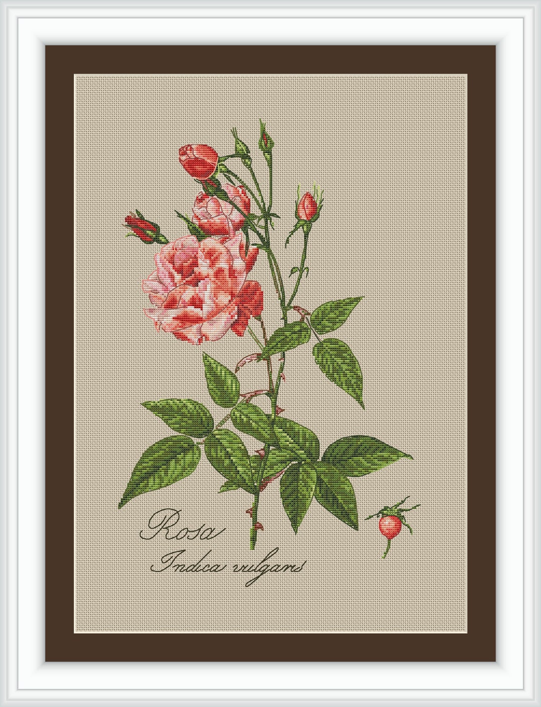Antique Rose Cross Stitch Pattern Needlepoint Pattern Embroidery Design ...