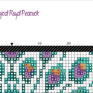 Original Beautiful Royal Peacock With Colorful Tail Fully Open Cross ...