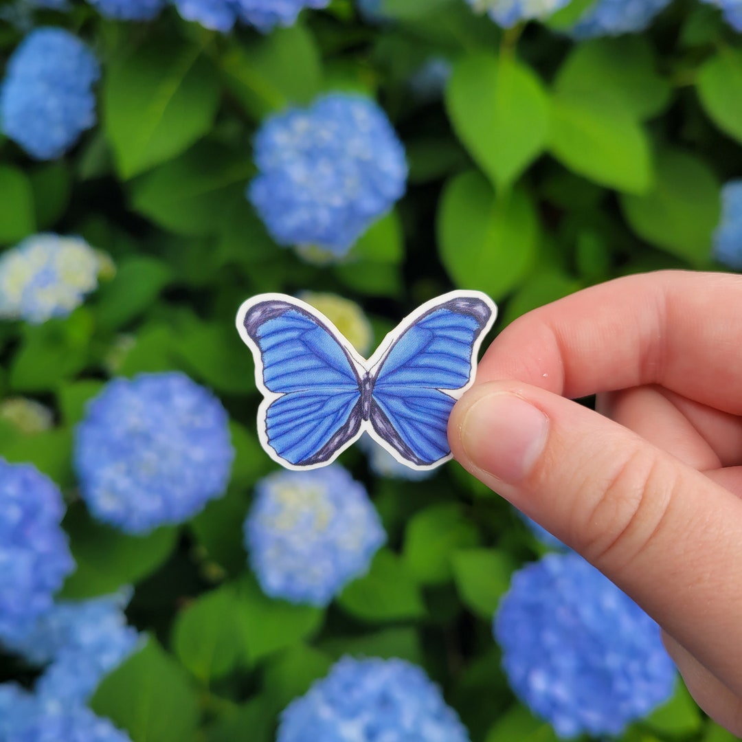 Mini Butterfly Sticker, Small Laptop Stickers, Water Bottle Stickers - Etsy