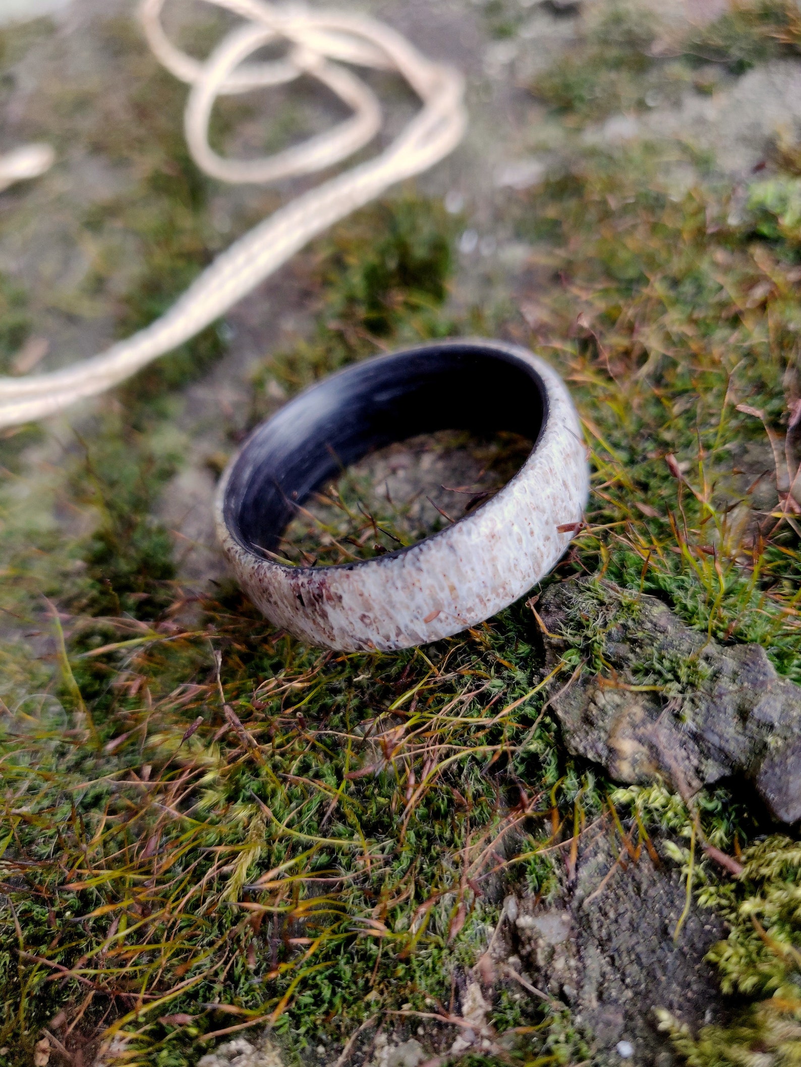 Bog Oak and Stabilized Antler Marrow Ring Bent Wood Ring. | Etsy