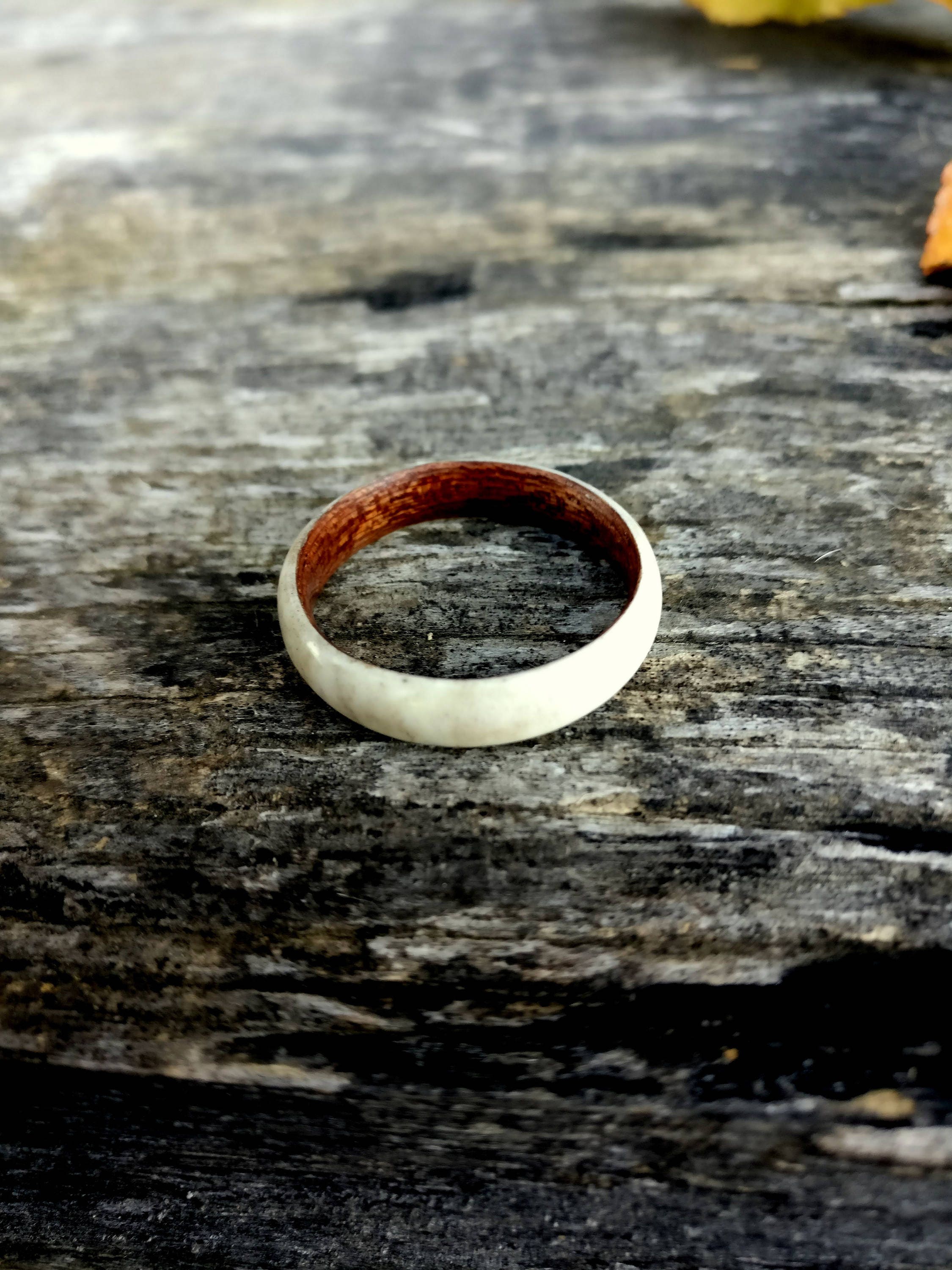 Antler and mahogany ring Engraved pine trees Bent wood ring | Etsy