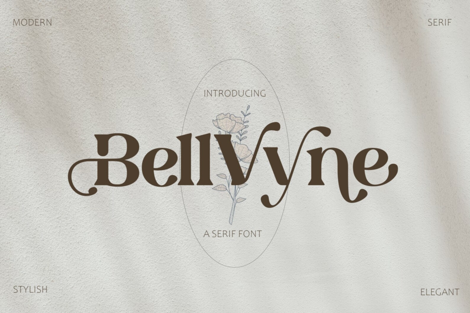 Serif Font, Fancy Font, Classy Elegant Font, Branding Font, Swash Font ...