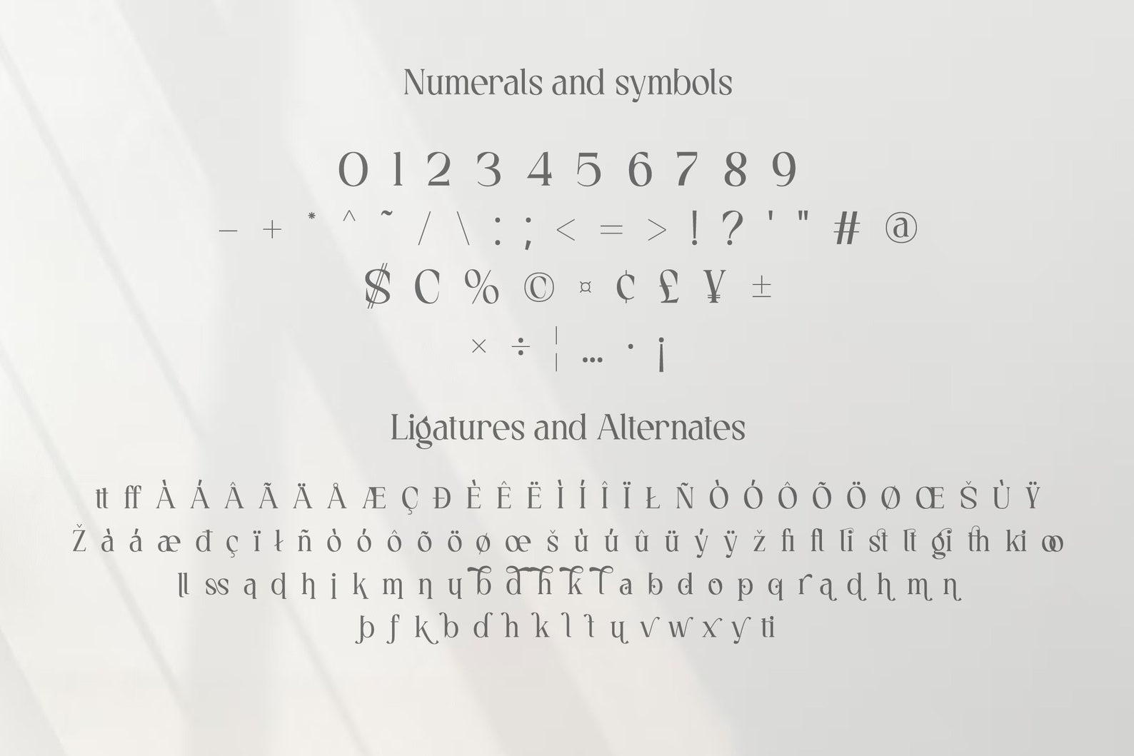 Luxury Serif Font, Fancy Font, Elegant Font, Branding Font, Swash Font ...