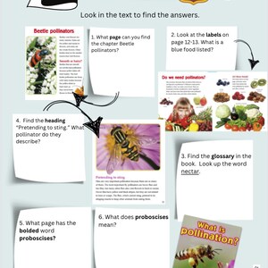 EL Education. Grade 2. Module 3: Unit 2- Plants & Pollinators Notebook ...