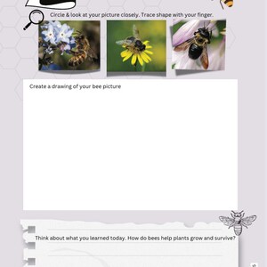 EL Education. Grade 2. Module 3: Unit 2- Plants & Pollinators Notebook ...
