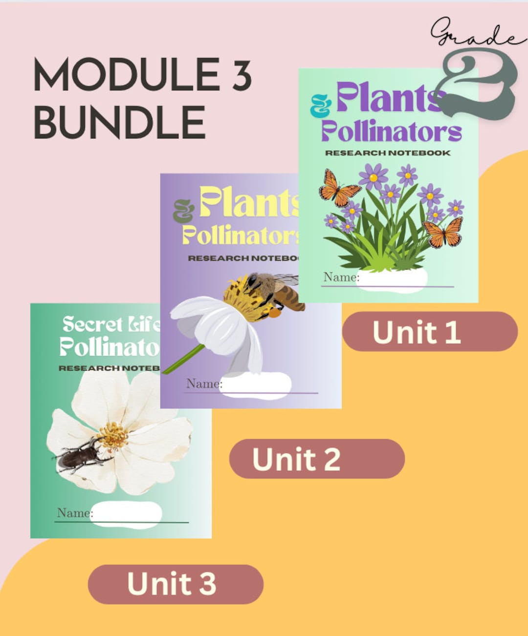 EL Education: Grade 2. Module 3 BUNDLE - Etsy