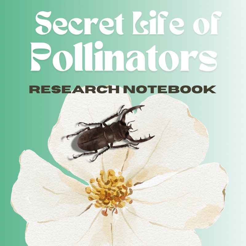 Pollinator Education - Etsy