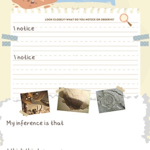 EL Education: Grade 2. Module 2 BUNDLE - Etsy