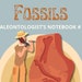 EL Education. Grade 2. Module 2: Unit 2- Fossils Paleontologist ...