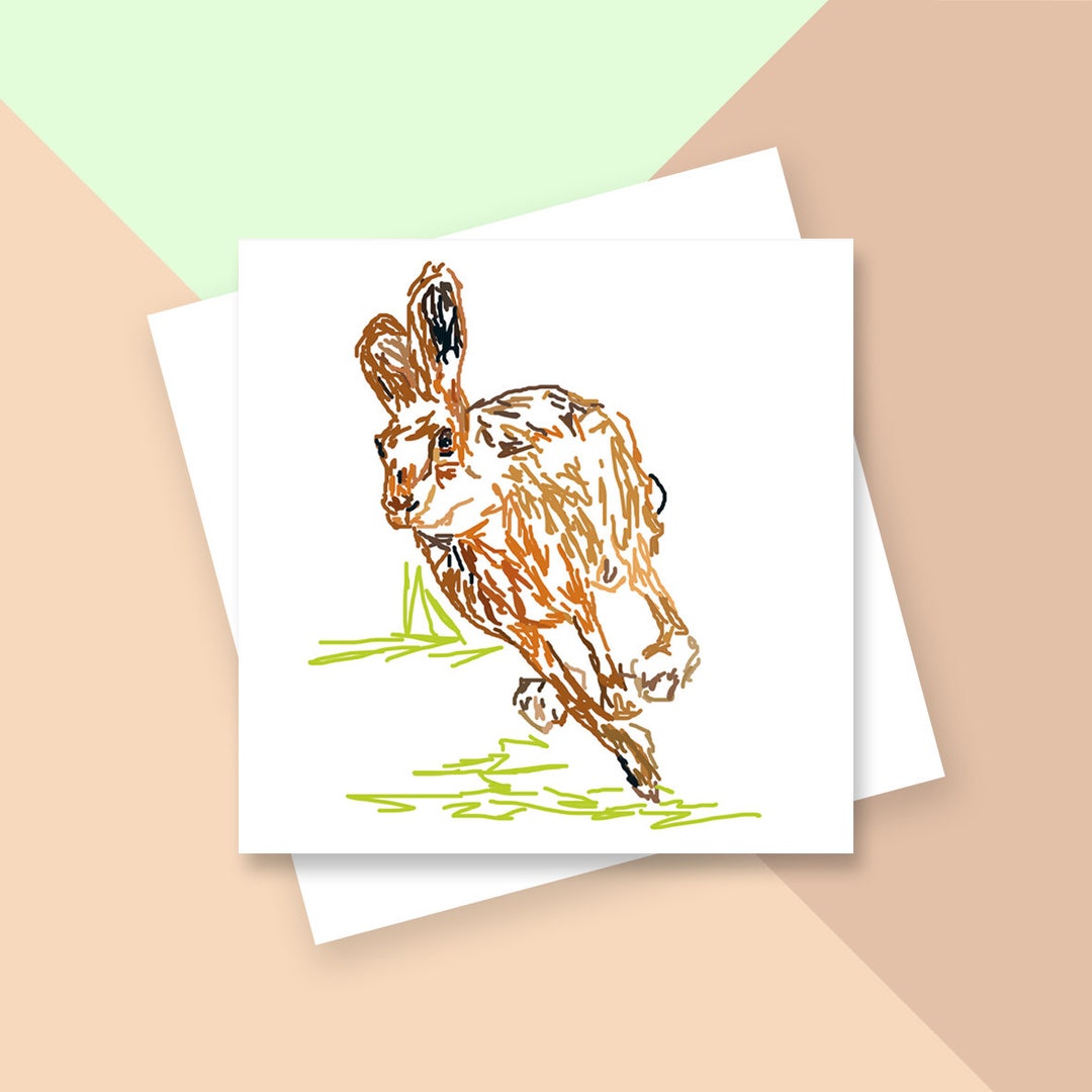 Hare Greetings Card - Blank Inside - Plastic Free - Etsy