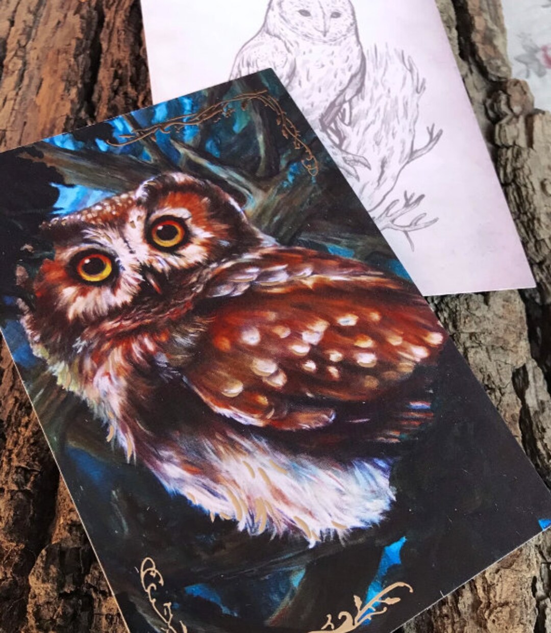 Silver Details Owl Postcards Both Sides Print Night Forest Creature ...