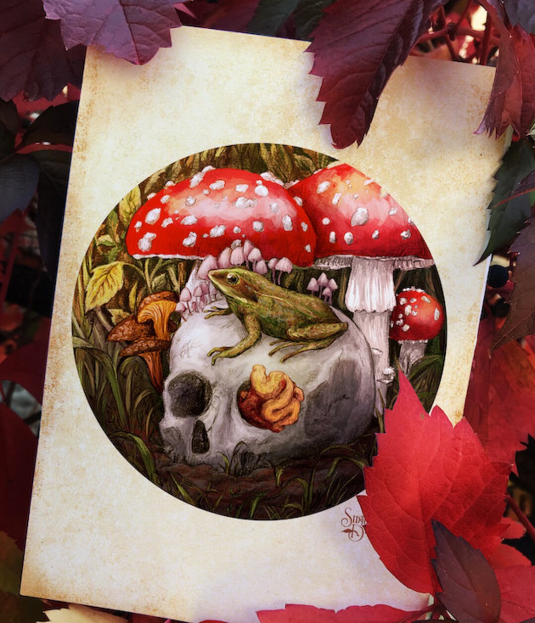 Magic Toad Into the Woods Photographic Paper Print Wall Art Decor Magic ...