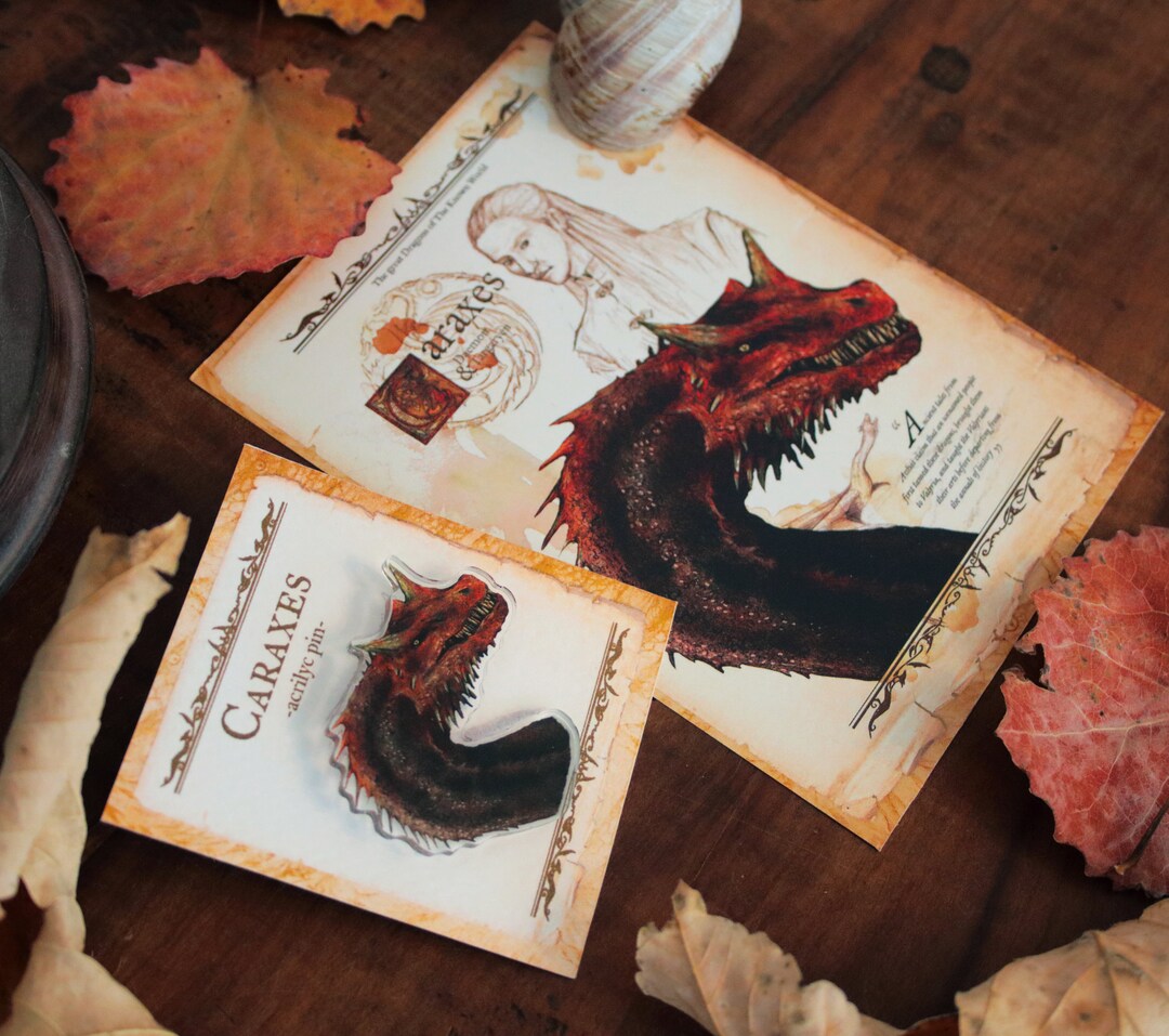 Acrylic Pins + Print || Fantasy Dragons and Knight - Etsy