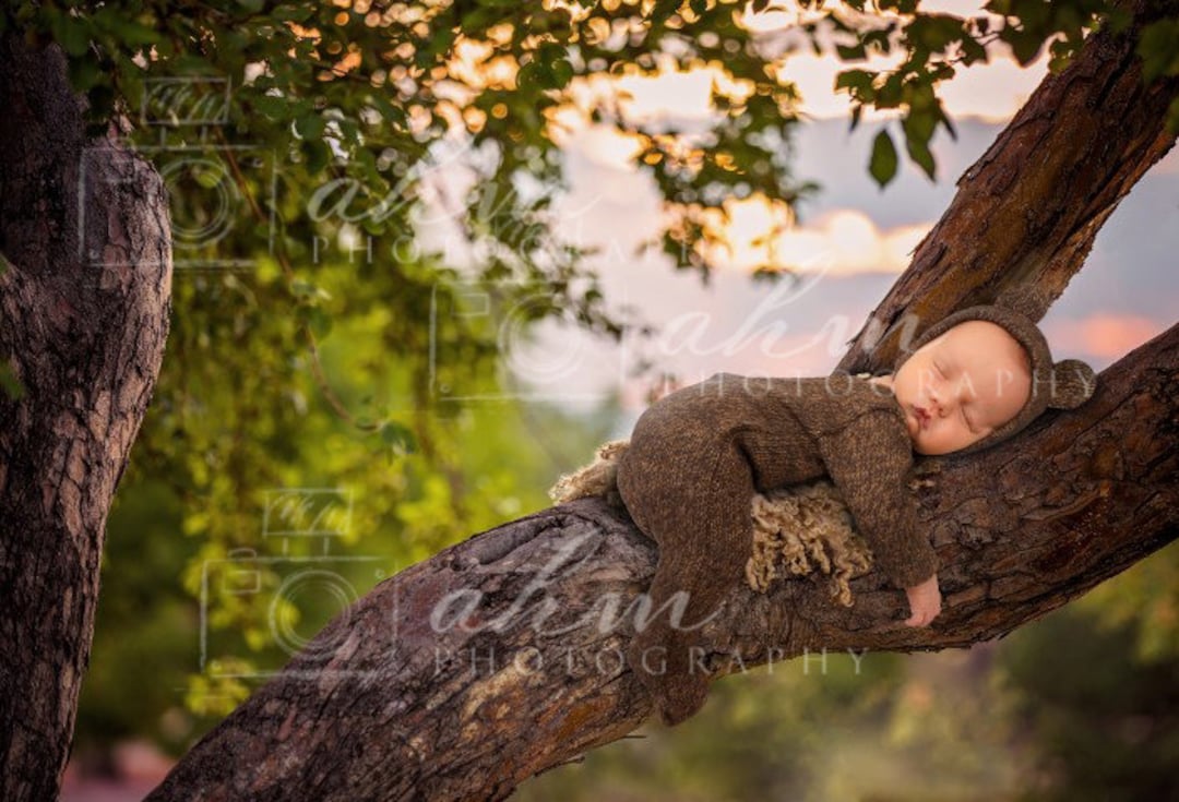 Newborn Digital Backdrop Outdoor Tree Nature Natural Neutral Sunset ...