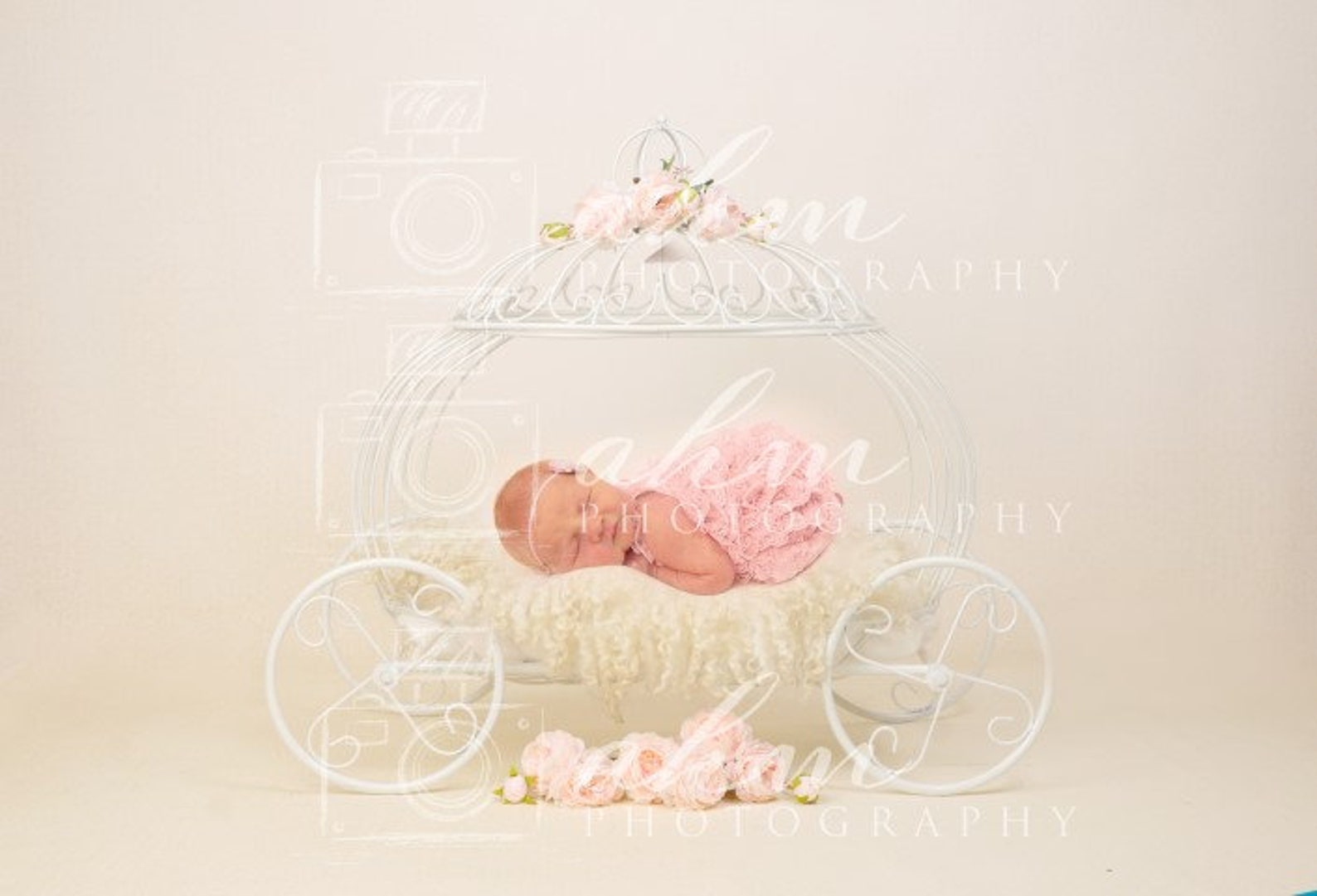 Princess Pink Newborn Digital Backdrop Carriage Elegant Dainty - Etsy