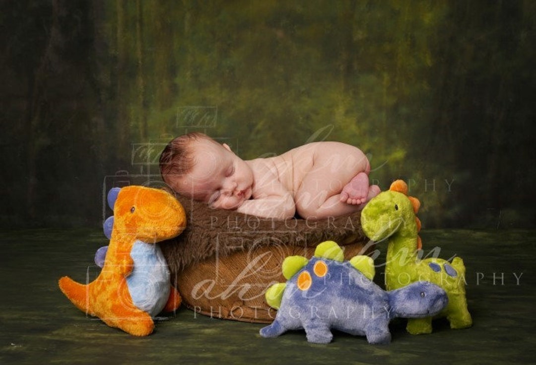 Newborn Digital Backdrop Dinosaur Boy Baby Forest Dino Background ...