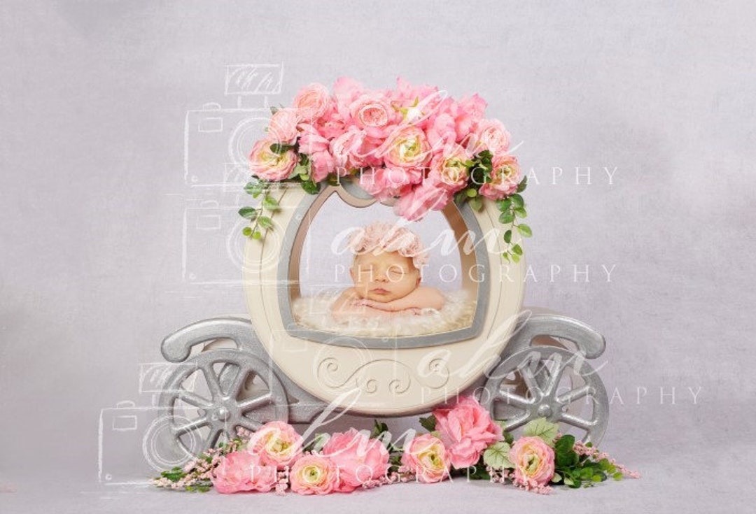 Princess Newborn Digital Backdrop Girl Newborn Carriage Backdrop ...