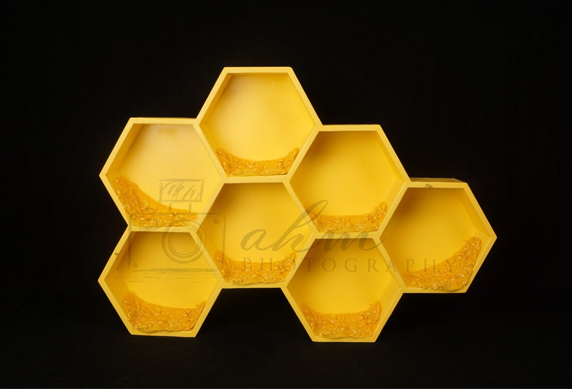 Newborn Digital Backdrop / Boy / Girl / Baby / Beehive / Bee / - Etsy