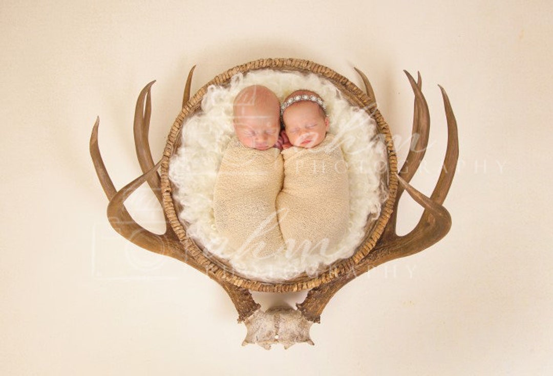 Newborn Digital Backdrop Antlers Hunting Camping Boy Basket Overhead ...