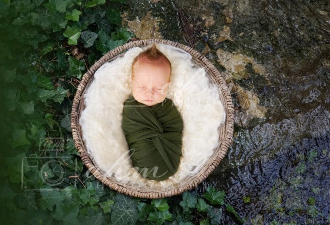 Newborn Digital Backdrop Outdoor Baby Boy Girl Organic Natural Basket ...