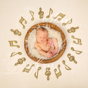 Newborn Digital Backdrop Music Notes Piano Violin Flute Baby Boy Girl ...