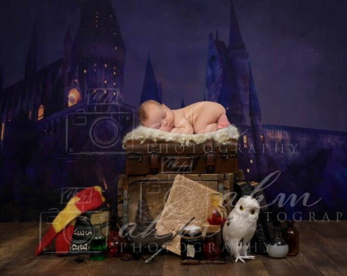 Value Digital Background Bundle Wizard School Backdrop Magic Castle ...