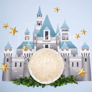 Magical Castle Newborn Digital Backdrop Boy Girl Mickey Minnie Infant ...