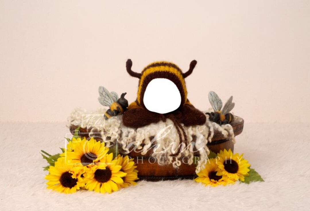 Newborn Digital Backdrop Sunflower Bee Face Insert Baby Boy Girl Floral ...