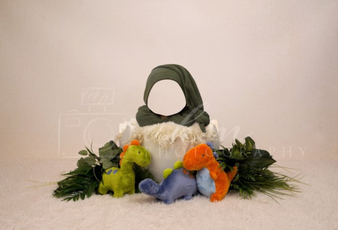 Dinosaur Boy Face Insert Newborn Digital Backdrop Dino Egg Baby ...