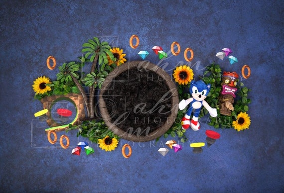 Sonic Newborn Digital Backdrop Gamer Nerd Boy Baby Composite - Etsy