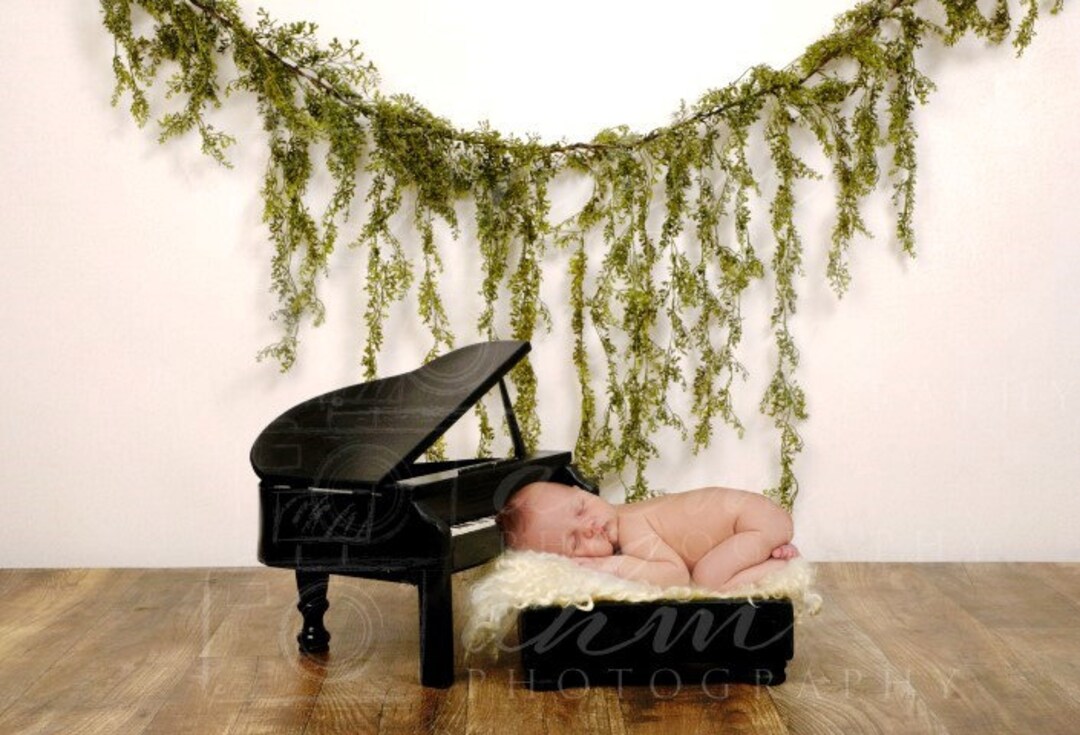Newborn Digital Backdrop Piano Music Formal Elegant Simple - Etsy
