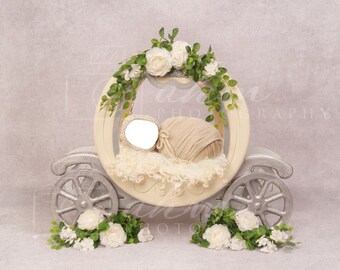 Newborn Digital Backdrop Face Insert Princess Cinderella Baby - Etsy