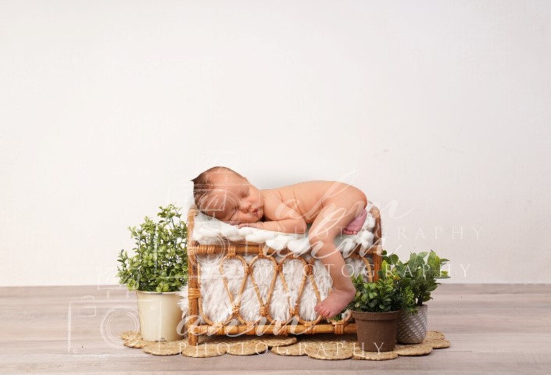 Earthy Boho Organic Newborn Digital Backdrop Boy Girl Gender Neutral ...
