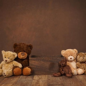 Sitter Digital Backdrop Teddy Bear Rustic Wood Animal Bear - Etsy