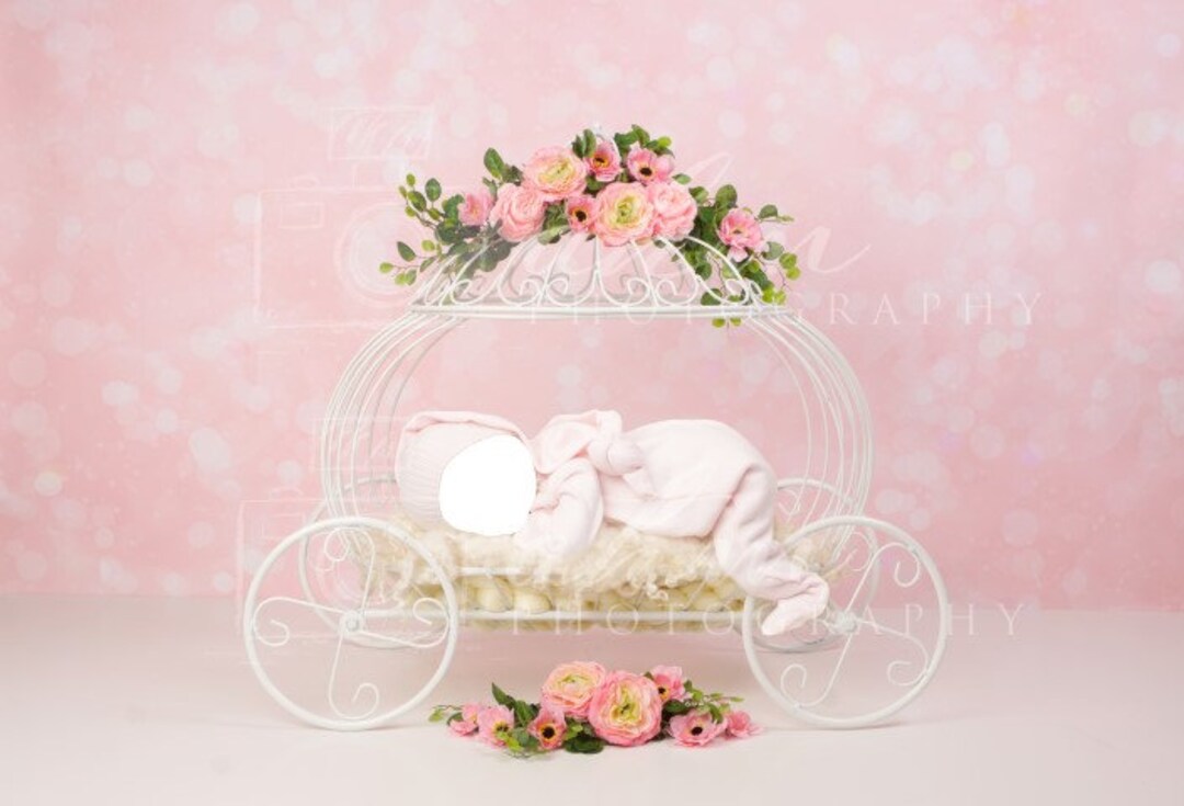 Princess Carriage Pink Face Insert Newborn Digital Backdrop Girl Baby ...