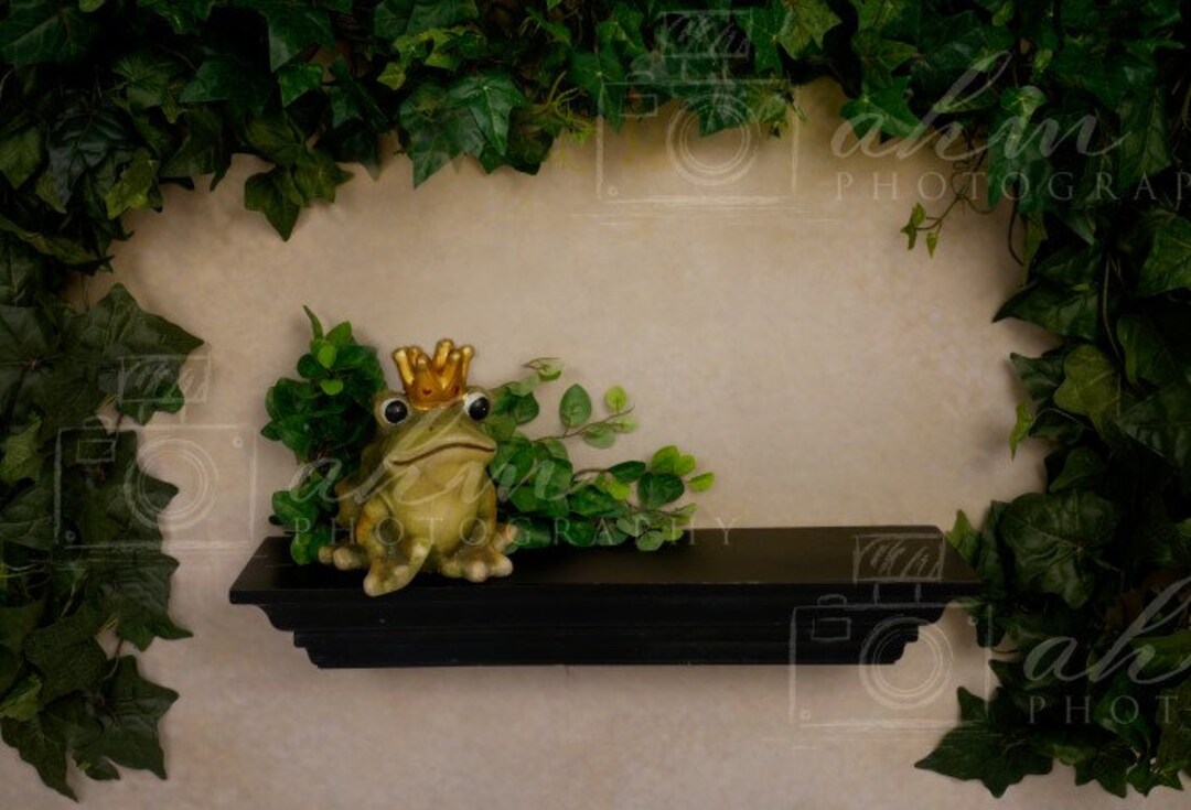 Princess Shelf Newborn Digital Backdrop Girl Frog Prince Garden Baby ...
