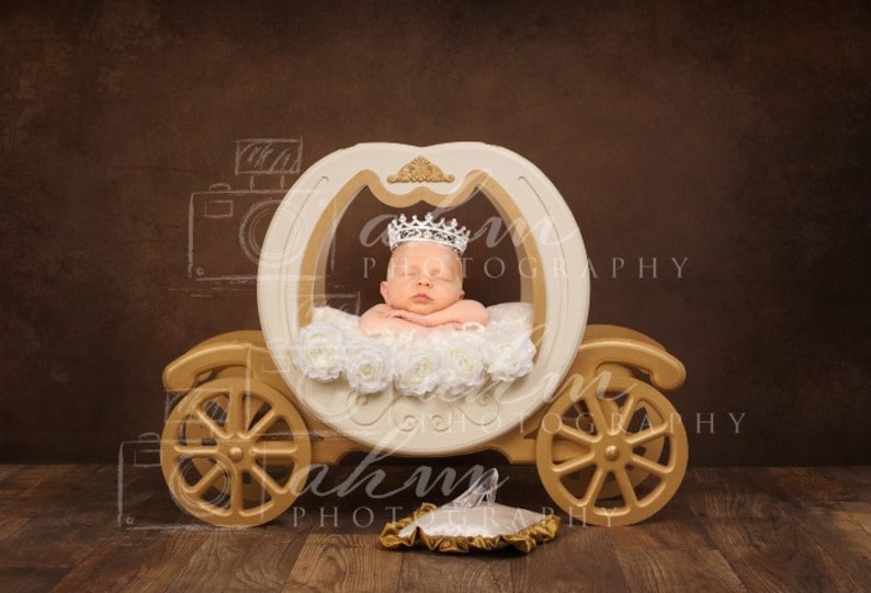 Newborn Digital Backdrop Girl Baby Princess Carriage Glass Slipper ...