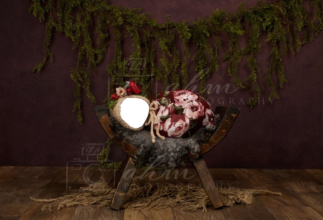 Newborn Digital Backdrop Girl Moody Floral Chic Face Insert Baby ...