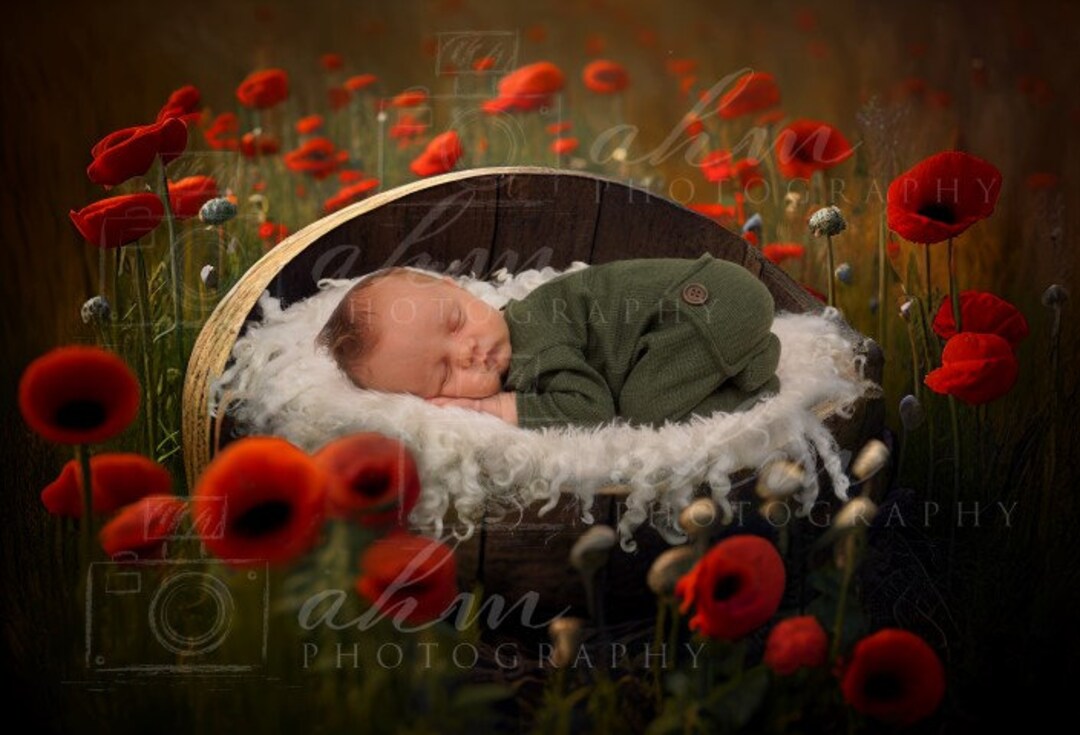 Poppy Red Flower Bed Newborn Digital Baby Backdrop Digital Background ...