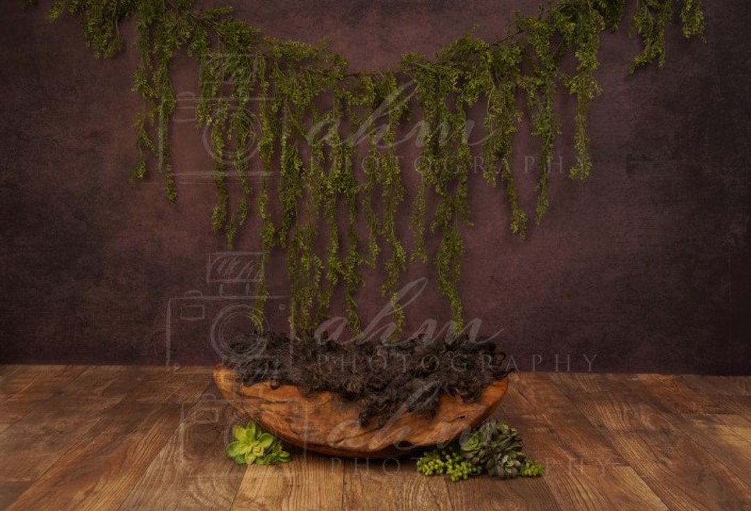 Newborn Digital Backdrop Boy Girl Organic Hanging Vine Greenery Wooden ...
