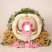 Newborn Digital Backdrop Princess Carriage Face Insert Girl Pink Fairy ...