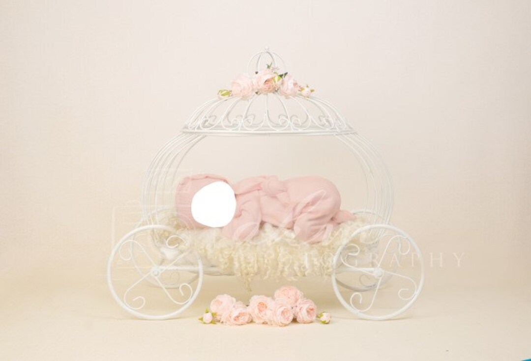 Princess Carriage Girl Face Insert Newborn Digital Backdrop Fairy Tale ...