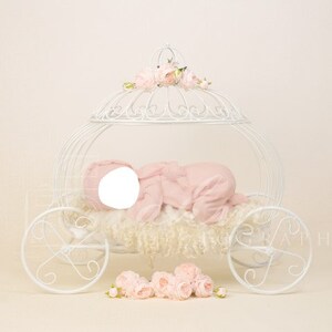 Princess Carriage Girl Face Insert Newborn Digital Backdrop Fairy Tale ...