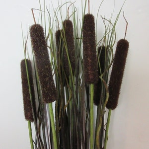 LARGE Artificial Cattails - Etsy