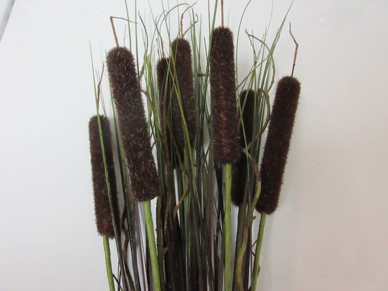 LARGE Artificial Cattails - Etsy