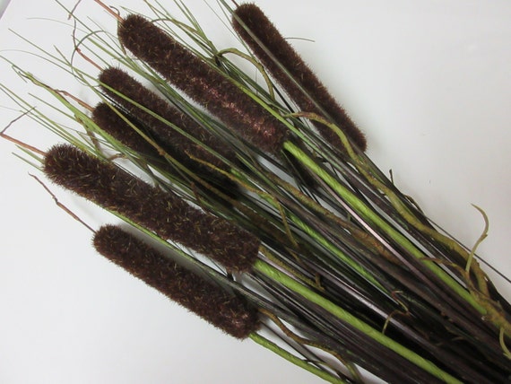 LARGE Artificial Cattails - Etsy