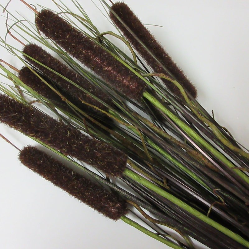 Artificial Cattails - Etsy