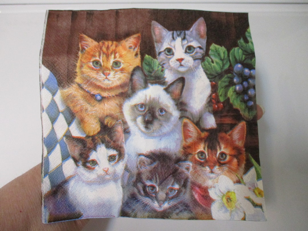 2-realistic Kittens Luncheon Decoupage Napkins-cat Decoupage Napkins ...
