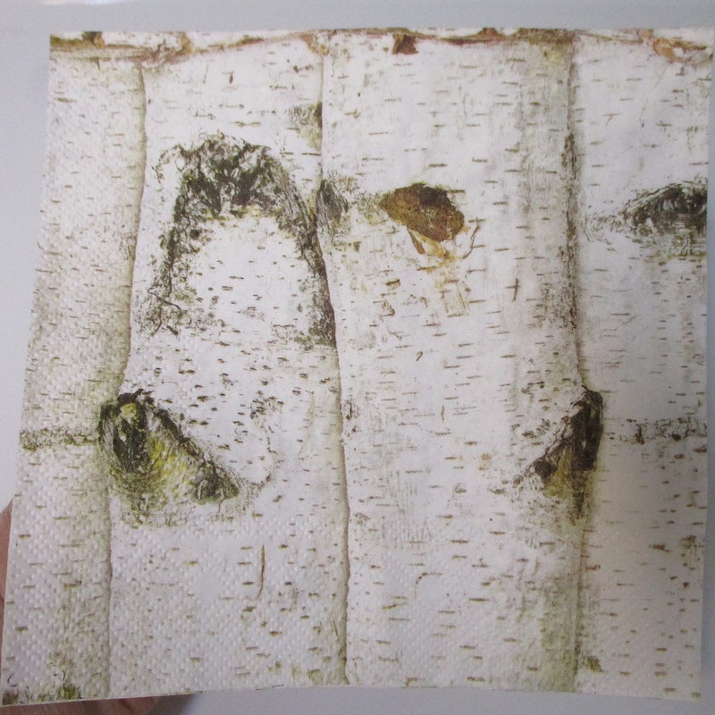 Birch Bark Artwork - Etsy